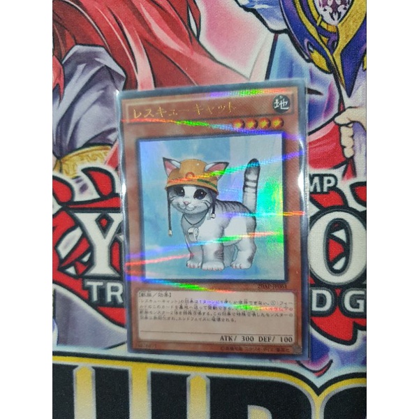 20AP-JP061 救援貓 金亮彩鑽 | 蝦皮購物