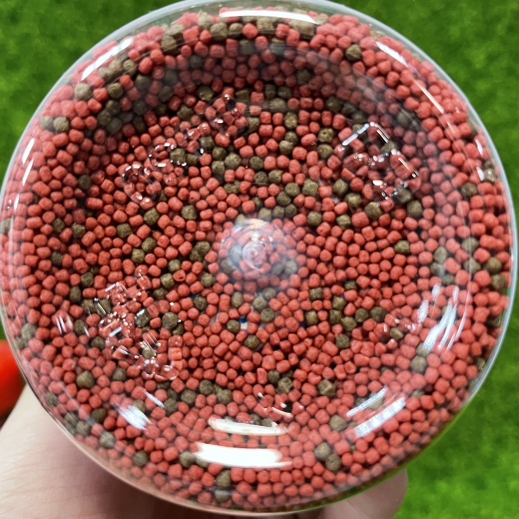 【彼得貓水族】雅柏UP 金魚專用飼料 小顆粒260g/大顆250g 錦鯉 金魚 魚飼料 小紅帽 流金 神仙魚 獅頭 琉金 | 蝦皮購物