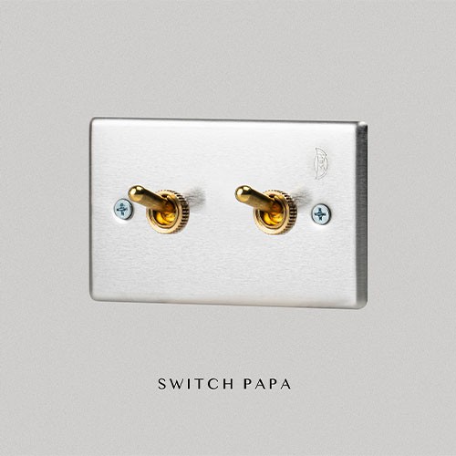 【SWITCH PAPA】不鏽鋼復古黃銅搖頭開關2開 | 蝦皮購物