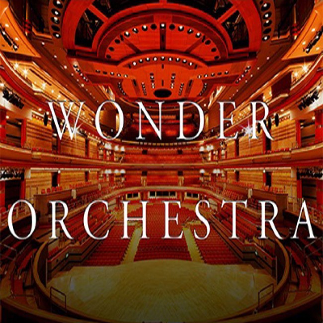 魔術道具 原廠道具 魔法音樂家 Wonder Orchestra 小提琴版 近距離魔術 街頭魔術 撲克牌魔術 | 蝦皮購物