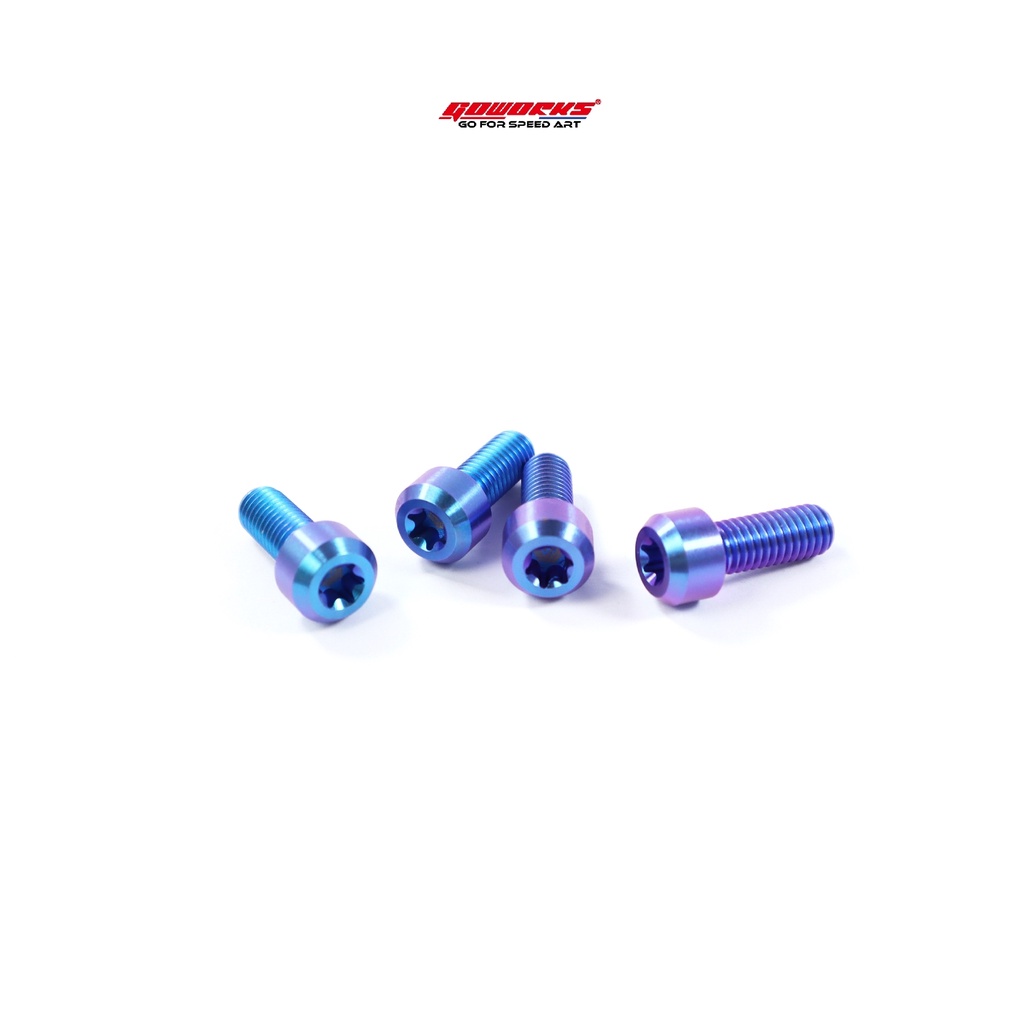 【GOWORKS】正鈦螺絲 M8*20L/M8*25L 藍紫色 | 蝦皮購物