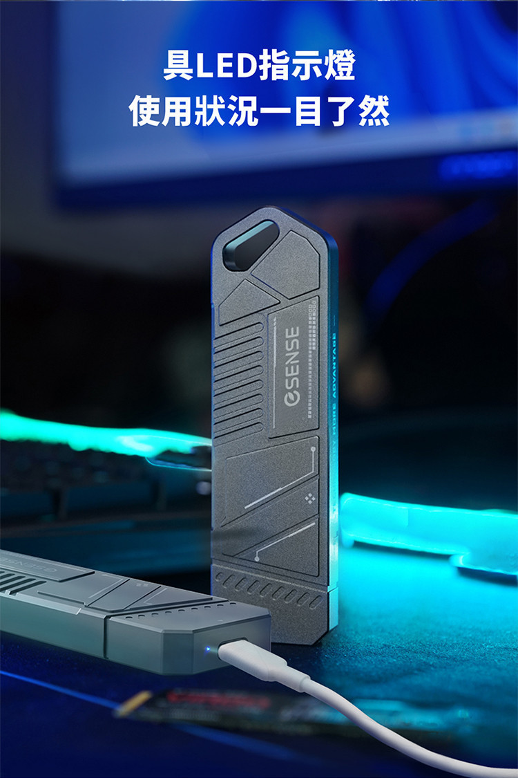 【Esense 逸盛】 M.2 NVMe / STSA SSD 雙協議 外接盒 | 蝦皮購物