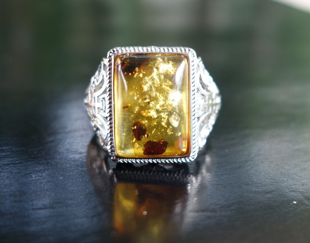 琥珀 天然波羅的海金珀 戒指 4.4克 男戒 植物珀 非二代琥珀 天然原礦 蜜蠟 Baltic Amber #山奇藝術 | 蝦皮購物