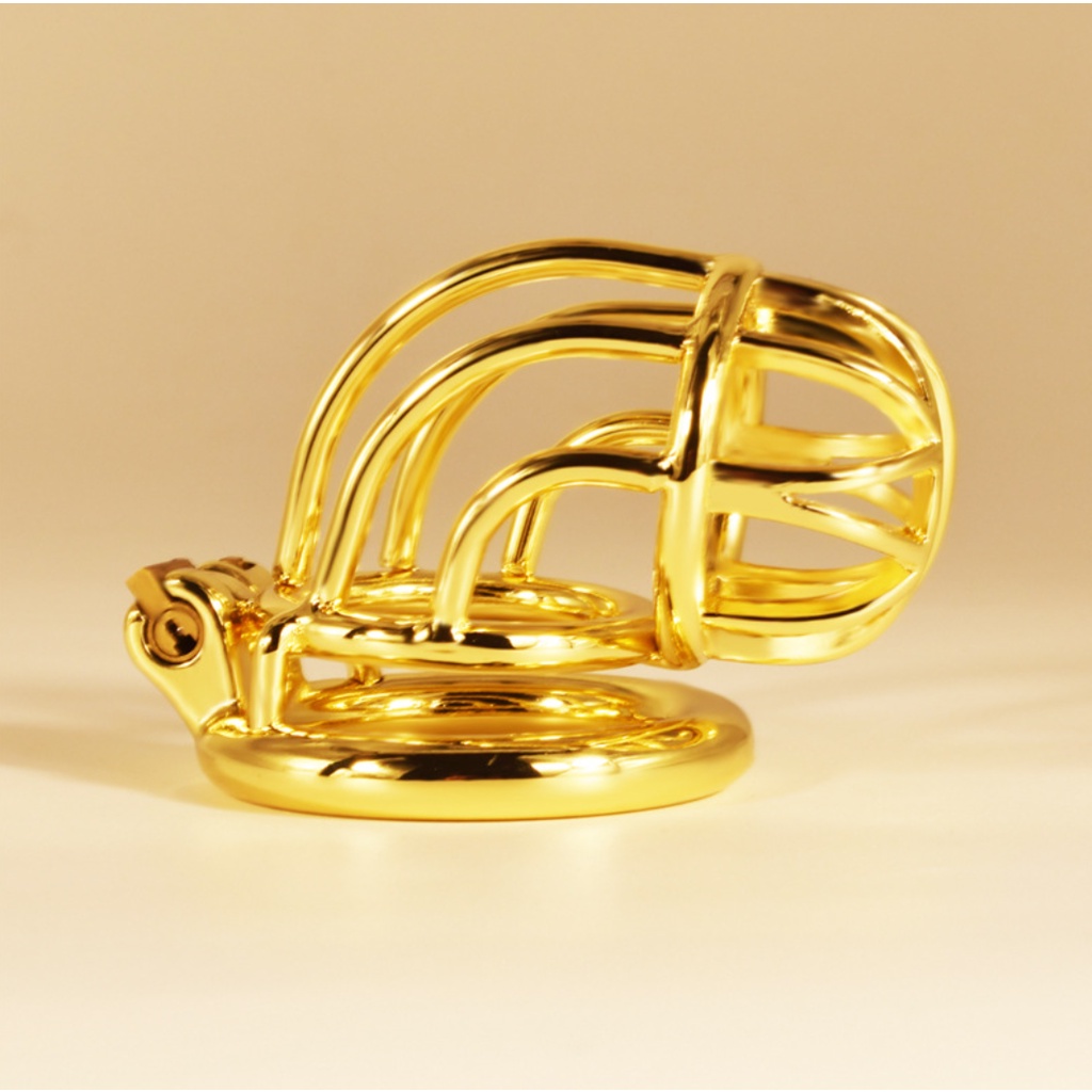 【花花18禁情趣BDSM】FRRK不鏽鋼cb貞操鎖 陰莖束縛 調教 防勃起出軌禁慾 透氣鳥籠 CB3000 | 蝦皮購物