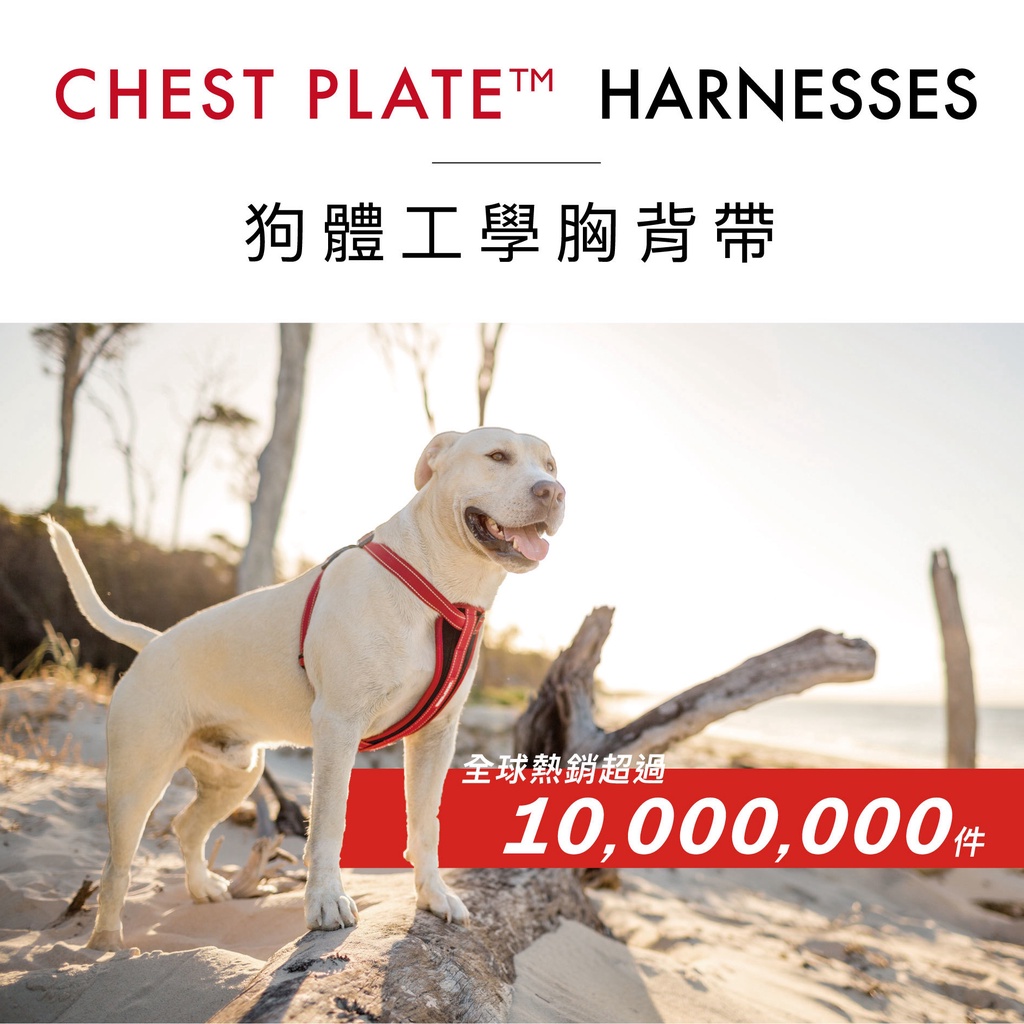 【阿皮家】EZYDOG 狗體工學胸背帶 #防爆衝 #防掙脫 #不傷氣管 #不傷關節 #不卡腋下 #EVA記憶泡棉胸墊 | 蝦皮購物