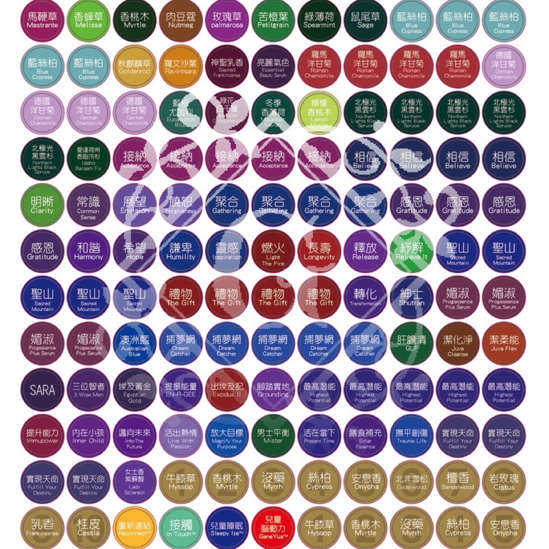 Young Living 美單精油貼紙 | 蝦皮購物