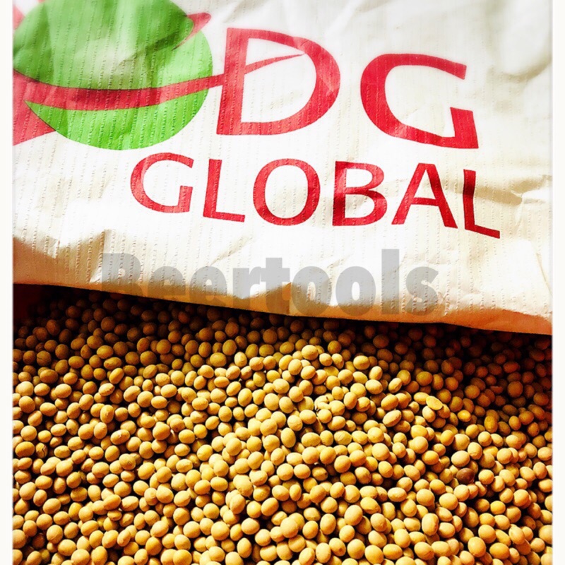 [Beertools] 加拿大 非基改造 非基改黃豆 整袋 30kg DG GLOBAL NON-GMO SOYBEAN | 蝦皮購物
