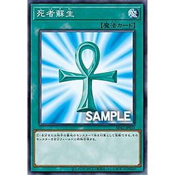 遊戲王單卡 SD42-JP033 PGB1-JP030 死者蘇生(普卡/古文鑽) | 蝦皮購物