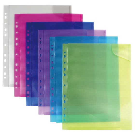 A4 PP薄板 11孔 直式文件夾. L夾 11E310 (LR) | 蝦皮購物