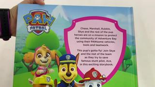 Paw Patrol High Flying Skye 兒童故事書帶袋標籤(精裝) | 蝦皮購物