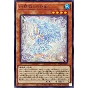 【DCT_緣夢の城】遊戲王 POTE-JP027 六花之白姬 普卡 90-95分 | 蝦皮購物