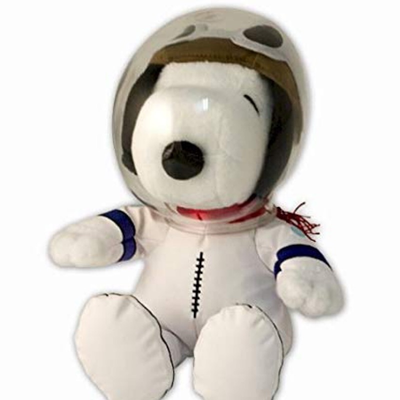 🇺🇸NASA x snoopy x Hallmark 紀念玩偶娃娃🇺🇸 | 蝦皮購物