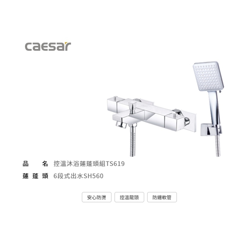 TS617 TS618 TS619 控溫沐浴龍頭組 CAESAR | 蝦皮購物
