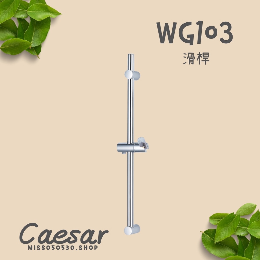 Caesar 凱撒 WG103 (可上下調整) 升降桿 滑桿組 蓮蓬頭滑桿 把手滑桿 滑桿 龍頭升降桿 | 蝦皮購物