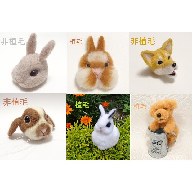 客製兔子_katXXX | 蝦皮購物