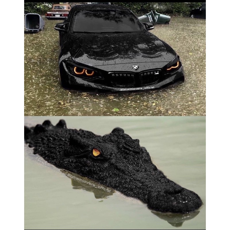 黑窗框 黑武士 BMW F10 F26 F48 F05 G30 G20 E70 G01 G02 G05 X5 X6 X7 | 蝦皮購物