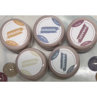 現貨 DINA 砂糖膠 高質感 美甲 凝膠 共五色 dinagel 璐意雅 美甲 罐裝凝膠 美甲膠 | 蝦皮購物