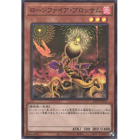 【DCT_緣夢の城】遊戲王 21TP-JP101&RC04-JP002 孤燃花 亮面/雕鑽 90-95分 | 蝦皮購物