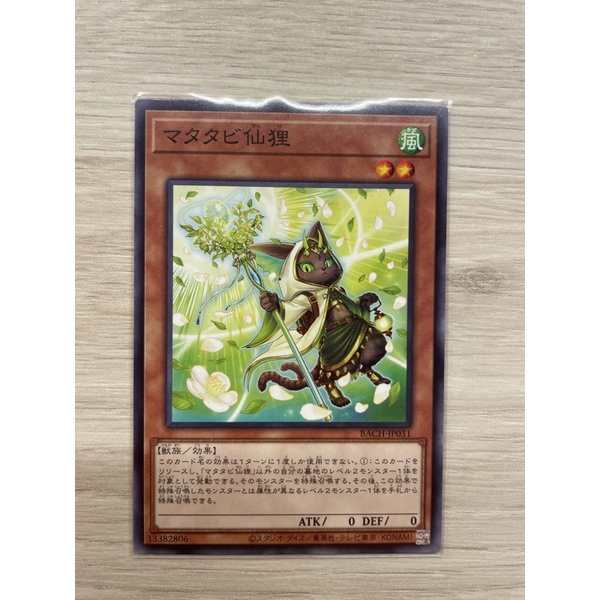 【路過的閃刀姬】遊戲王BACH-JP031 木天蓼仙貍（普卡）遊戲王1107 | 蝦皮購物