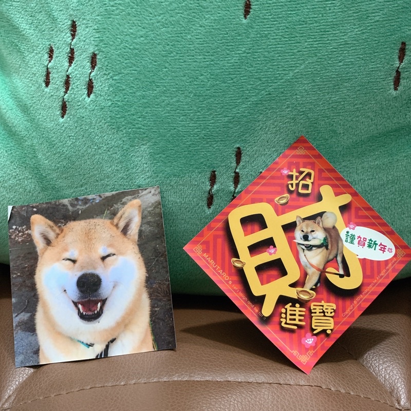 🇯🇵日本 柴犬SHIBA maru / marutaro 招財進寶 新年 貼紙 | 蝦皮購物