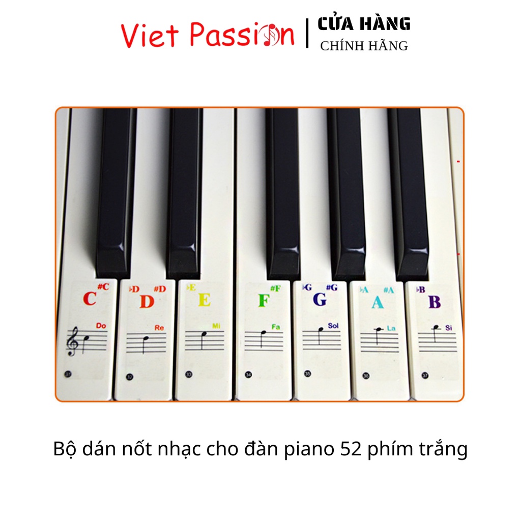 貼紙鍵盤風琴貼花音符位置標記鑰匙 88 76 61 54 36Vitpassion | 蝦皮購物