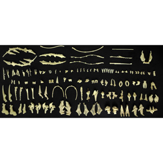 《現貨速達》五星物語 FSS Hsgk 1/72 GTM ZAP幻象 GK 透明GK雙色樹脂套裝 模型【AC3000】 | 蝦皮購物