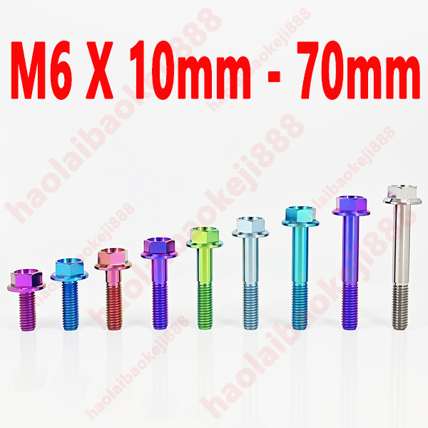 Gr5/tc4 鈦螺栓m6x10 - 70mm六角頭 M6法蘭頭螺絲 摩托車車身螺絲 | 蝦皮購物
