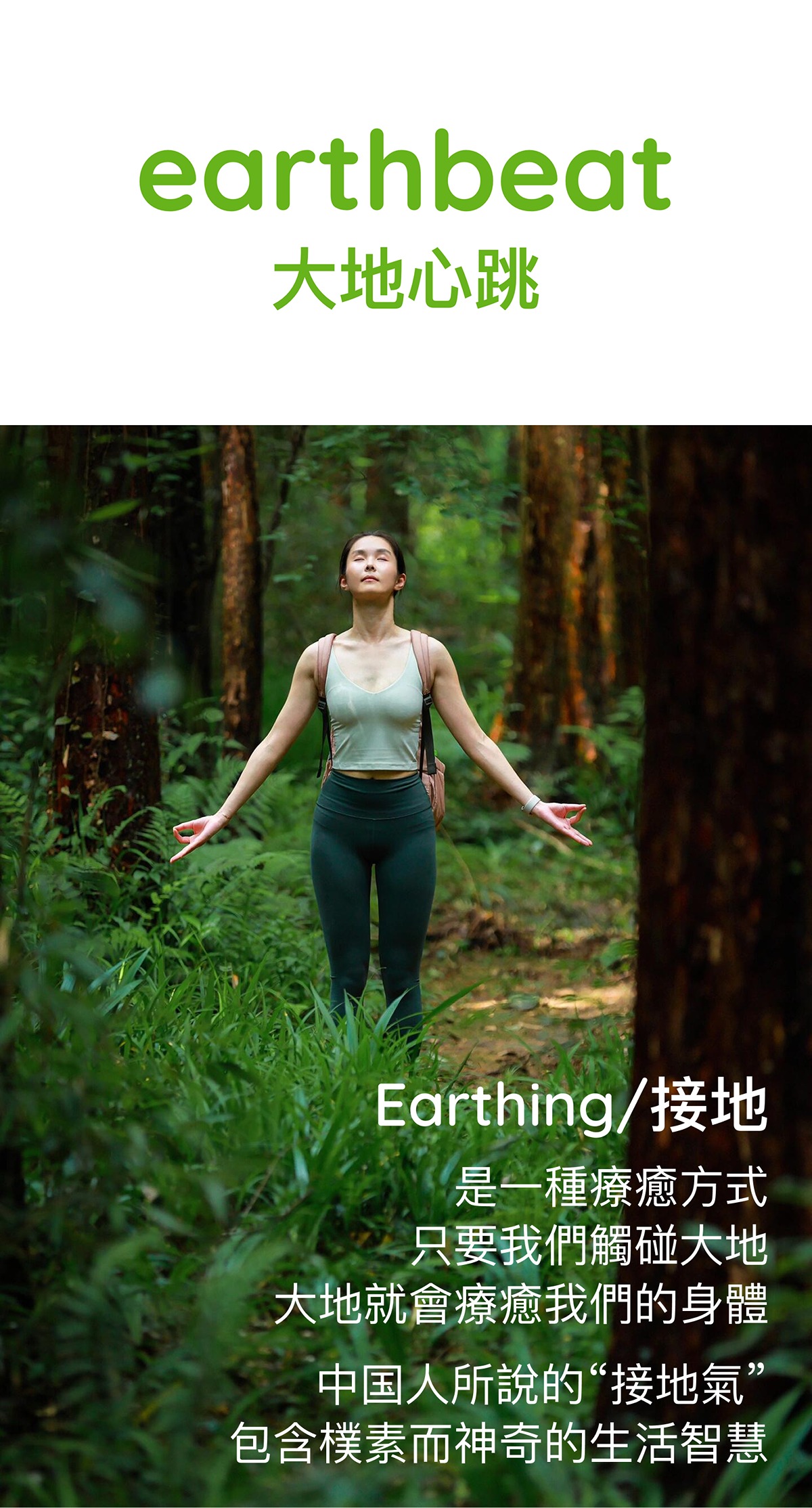 earthbeat經典款接地墊 Earthing Grounding 接地自然療法抗炎症減壓改善睡眠防靜电33×60cm | 蝦皮購物