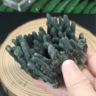 ．艾莉希亞寶石水晶．03內蒙古綠水晶 Prasem Quartz 內蒙綠水晶骨幹水晶綠水晶簇 水晶簇 水晶柱 | 蝦皮購物