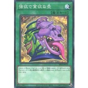 【卡の家】遊戲王 SR12-JP030 SR08-JP034 SD38-JP029 強欲的貪慾之壺 (普鑽/普卡)隨機出 | 蝦皮購物