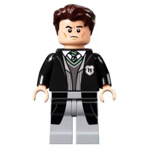 樂高 LEGO Tom Riddle（76389 hp311） | 蝦皮購物