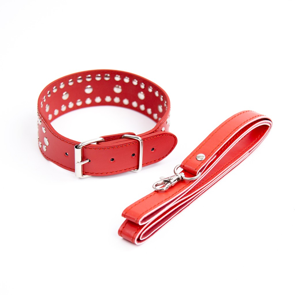 龐克大小鉚釘K9項圈+皮牽引繩 BDSM kinky 犬奴調教 虐戀情趣精品 | 蝦皮購物