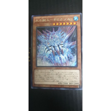 POTE-JP010 冰水艇海神盔蝦 | 蝦皮購物