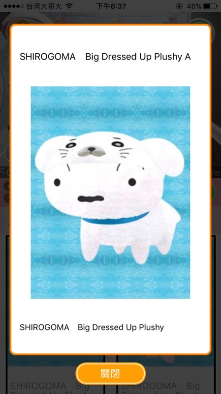 日本景品 進口 蠟筆小新 小白 稀有聯名款 shirogoma 日本限定 | 蝦皮購物