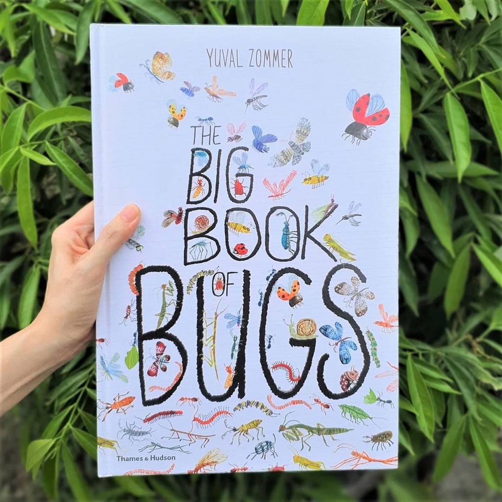 現貨🍀精裝英文知識科普繪本The Big Book of Bugs蟲蟲大書 🍀插畫家Yuval Zommer🍀缺書店 | 蝦皮購物