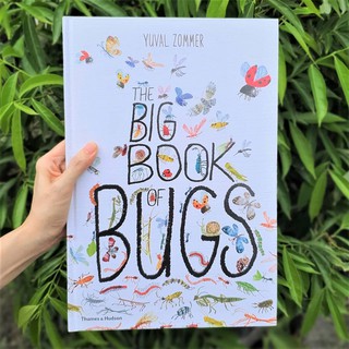 精裝英文知識科普繪本🍀The Big Book of Bugs蟲蟲大書 🍀插畫家Yuval Zommer🍀缺書店 | 蝦皮購物