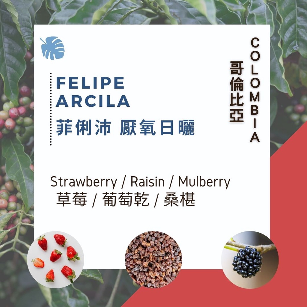 [Wolflow Coffee] 微批次 哥倫比亞日曬厭氧 菲俐沛 Colombia, Felipe Arcila | 蝦皮購物