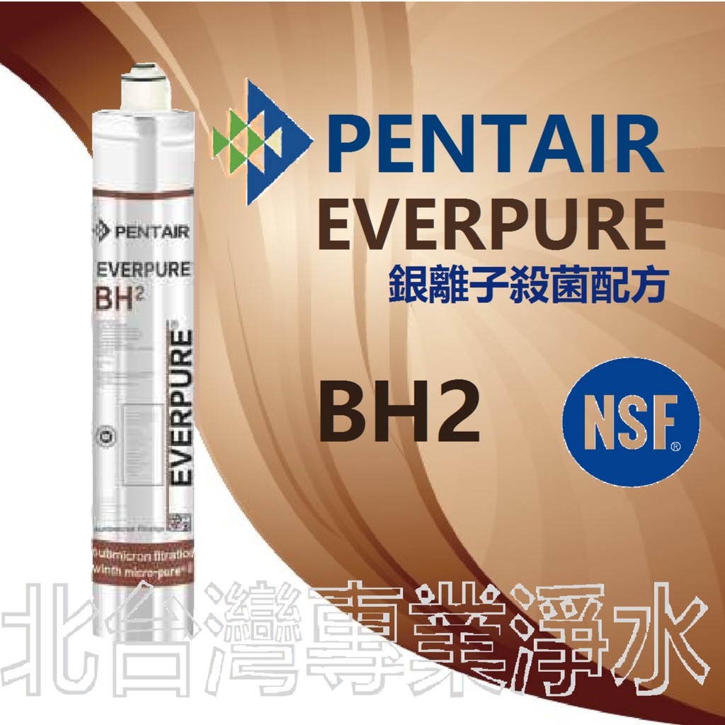 EVERPURE BH BH2 濾心 多了安全無毒複磷酸鹽配方 有效抑制水垢形成 擁有3000加侖的濾水量 | 蝦皮購物