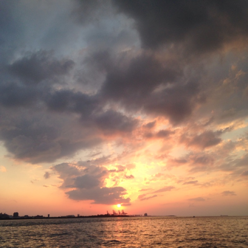 Yu Chen Chiu | 蝦皮購物