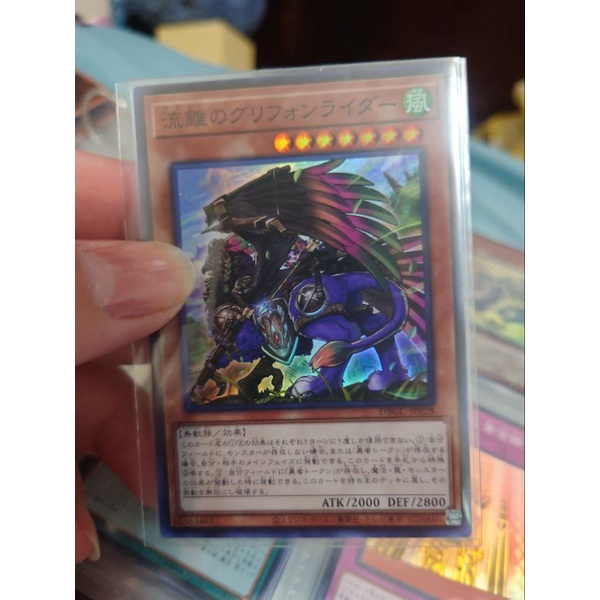 遊戲王 DBGC-JP028 流離的獅鷲騎手 (亮面 | 蝦皮購物