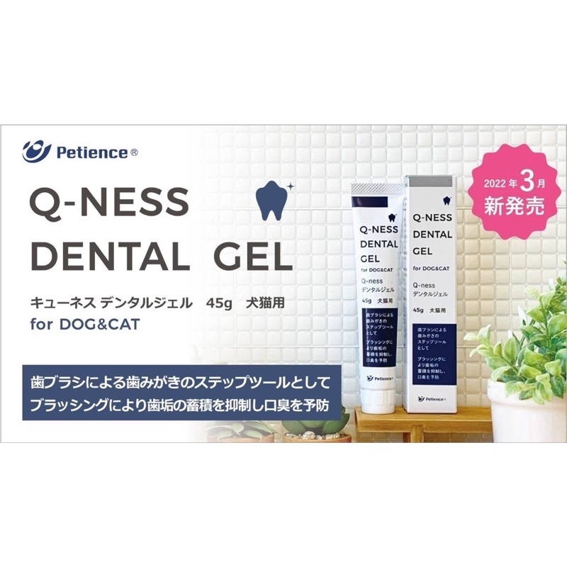 Q-NESS口腔凝膠 | 蝦皮購物