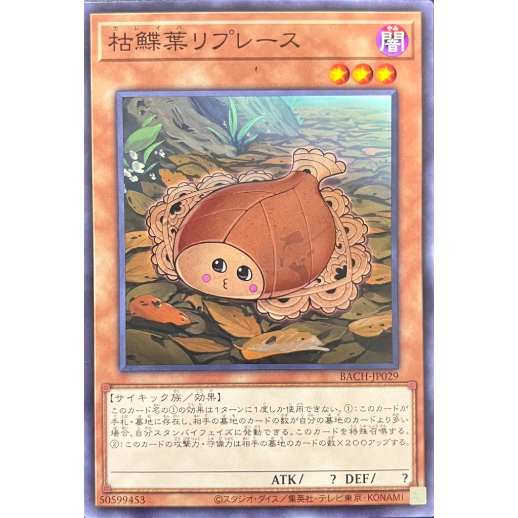 [亂亂家卡舖]BACH-JP029 枯鰈葉置換蕾絲 (普卡) 遊戲王 1107 | 蝦皮購物
