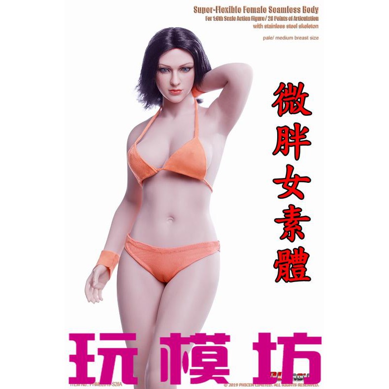 『全型號齊全 現貨』TBLeague(PHICEN) 無頭鋼骨 女素體 S28A S29B 微胖體型 | 蝦皮購物