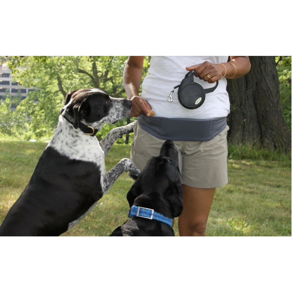 BANDI Grey Pocketed Belt 雙口袋腰包,薄襯墊分隔層,穿戴舒適.運動,逛超市,旅行外出方便無比. | 蝦皮購物