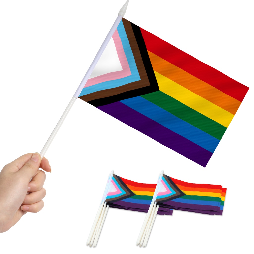Anley Progress Rainbow Pride Mini Flag 12 Pack-5 × 8 英寸 | 蝦皮購物