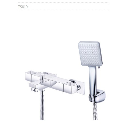 TS619 控溫蓮蓬頭(本體防燙) CAESAR 凱撒衛浴 | 蝦皮購物