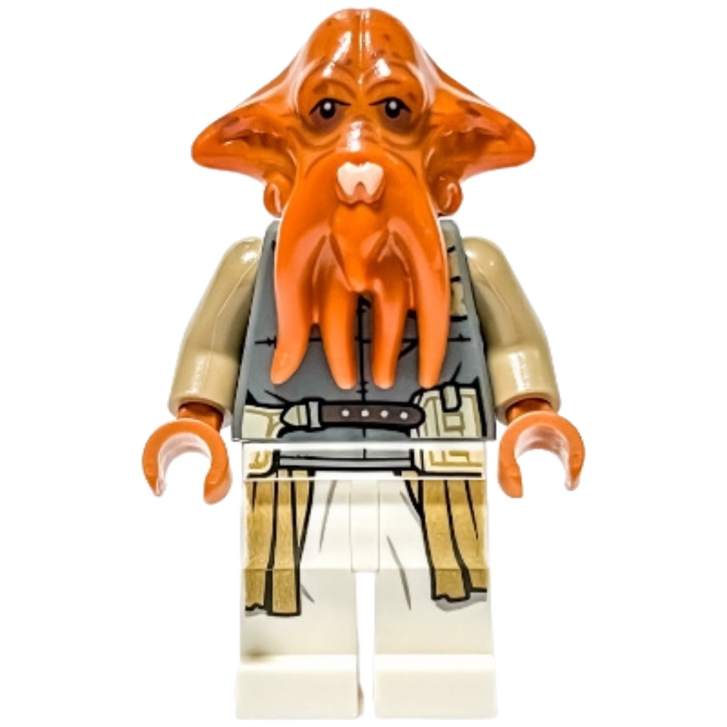 【金磚屋】sw1195 LEGO 樂高 星際大戰 75326 夸潤人 Quarren 全新已組裝 | 蝦皮購物