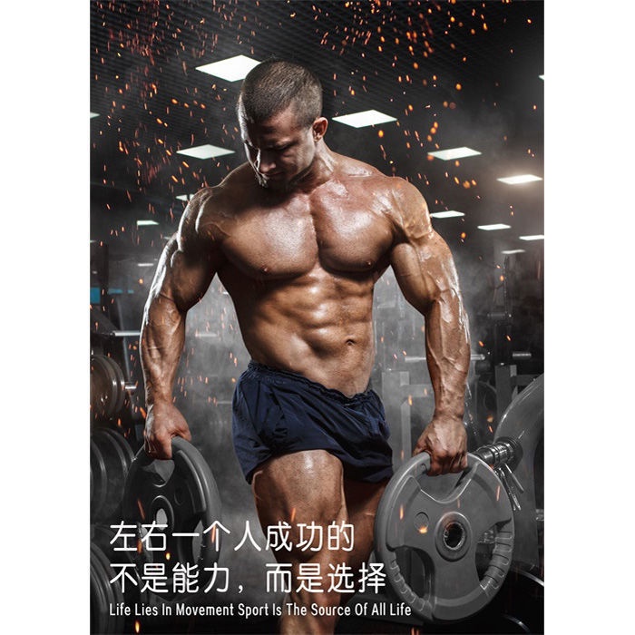 【滿799免運】健身房勵志海報畫性感馬甲線肌肉男女健身口號運動裝飾大海報貼畫jioyh 1gln | 蝦皮購物