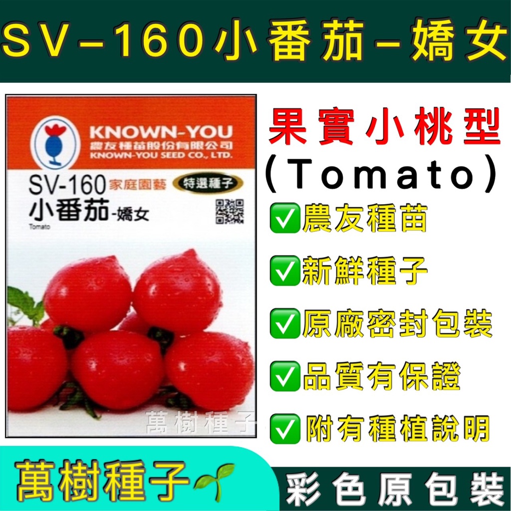 【萬樹種子】SV-160 小番茄-嬌女 特選蔬果種子 農友種苗 彩色密封 原廠包裝 | 蝦皮購物