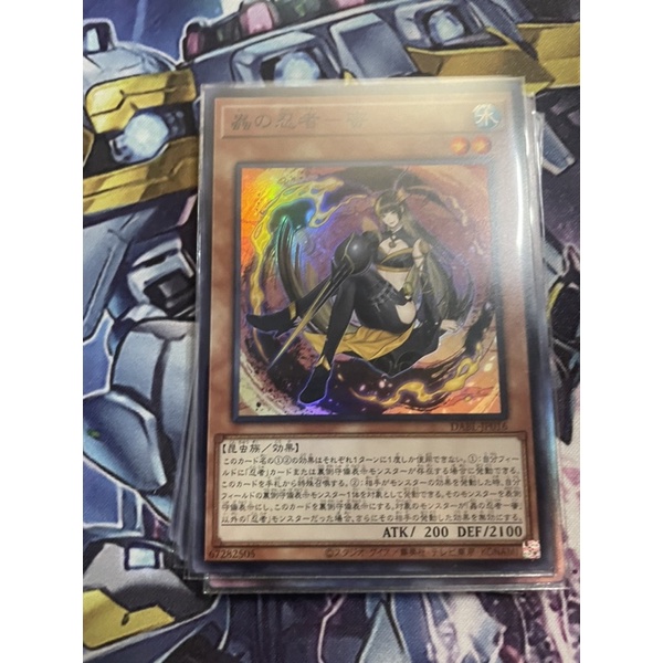 [金獅子]遊戲王 DABL-JP016 蟲之忍者 蜜 亮面 | 蝦皮購物